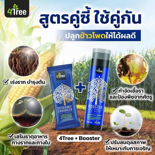 สูตรคู่ขี้ใช้คู่กัน: 4Tree + Booster นวัตกรรมเพื่อการเกษตรที่ดีกว่า